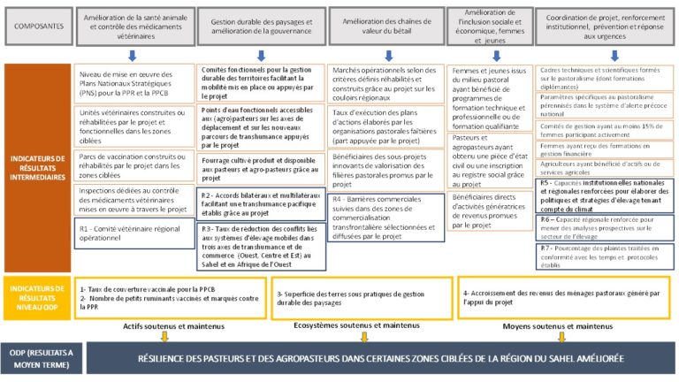 Les différentes composantes du PRAPS 2 TCHAD ‣ PRAPS 2 TCHAD